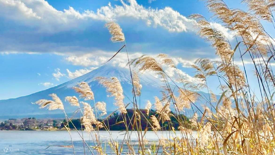 Mount Fuji Cherry Blossoms & Hakone One-Day Tour, Lake Kawaguchi Oishi ...